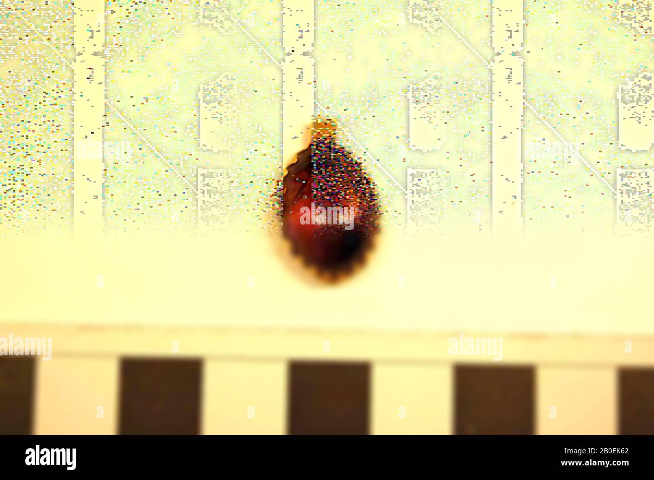 Pointed teeth hi-res stock photography and images - Alamy