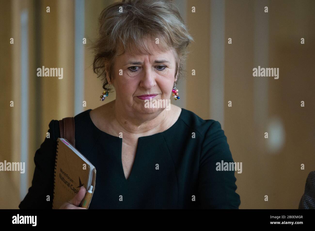 Roseanna cunningham cabinet secretary for environment hi-res stock ...