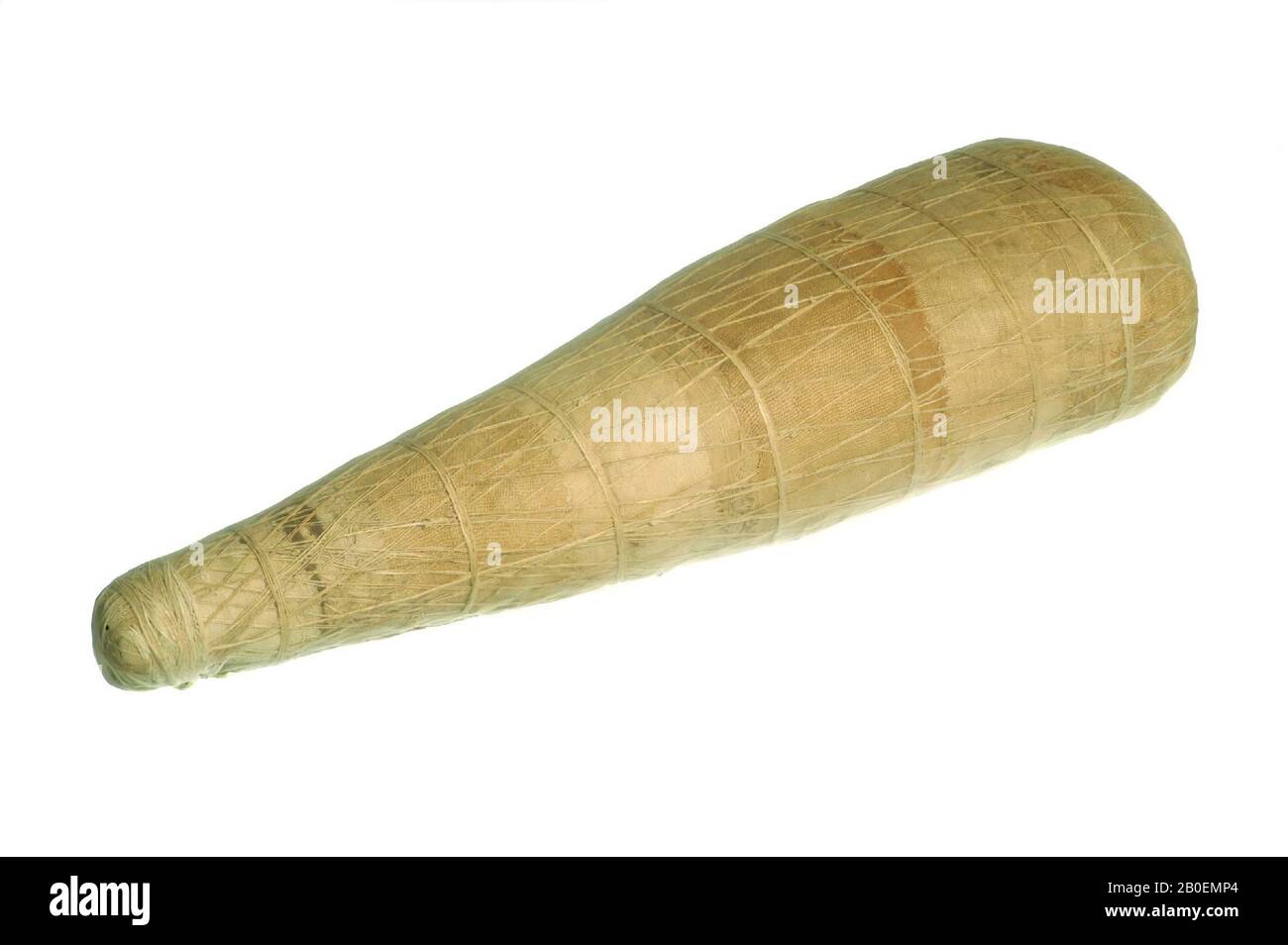 Flattened conical body hi-res stock photography and images - Alamy