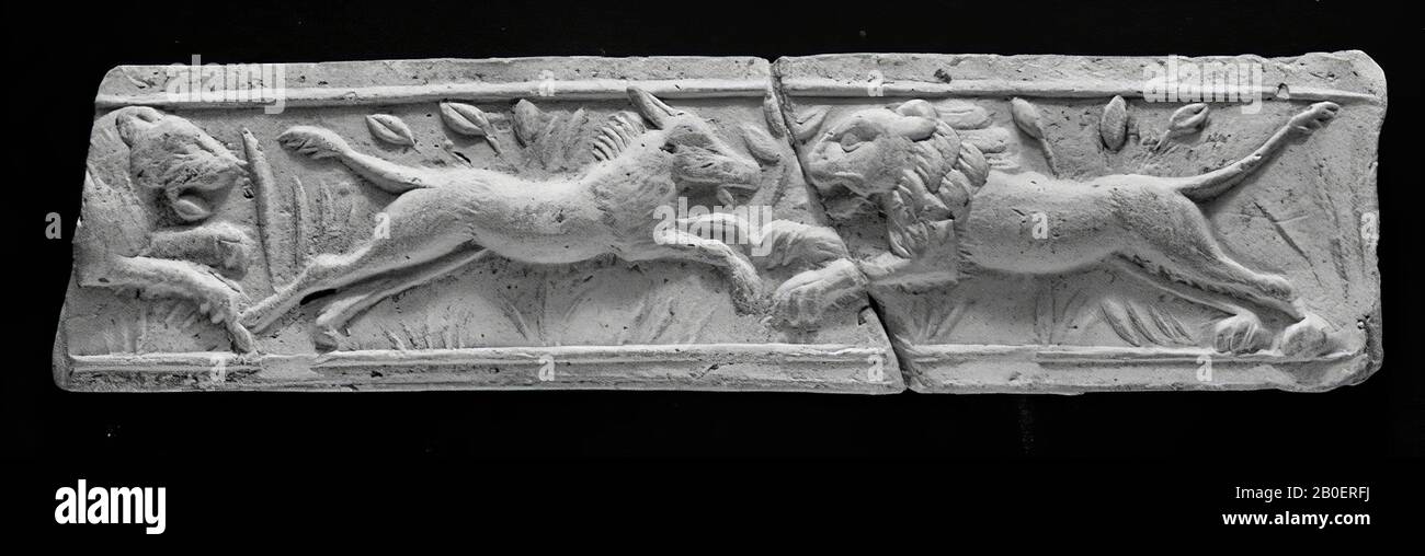 Lion roman donkey hi-res stock photography and images - Alamy