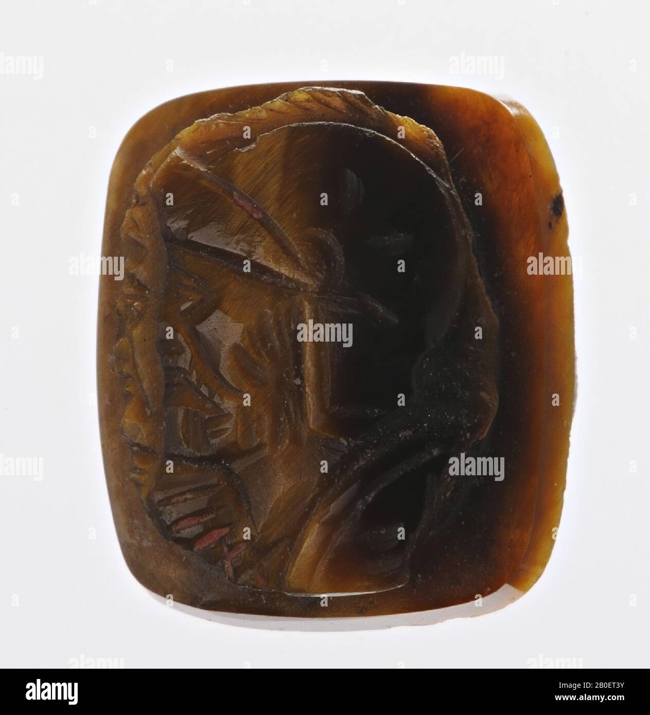 front portrait of a bearded man with helmet, posterior portrait of a ...