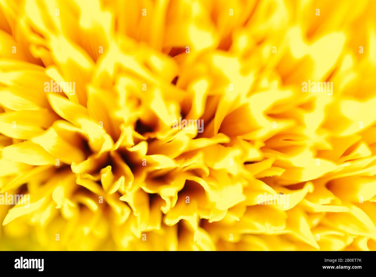 Shallow and deep hi-res stock photography and images - Alamy