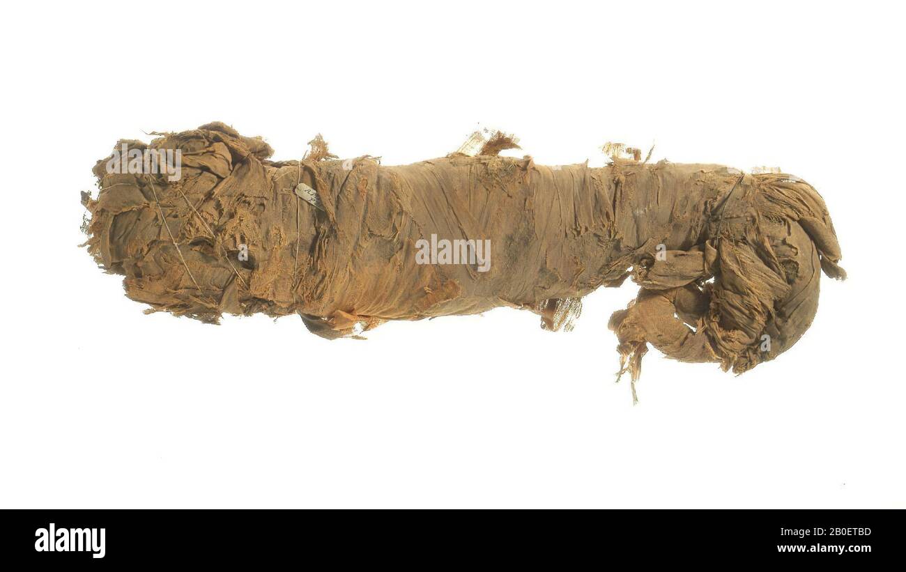 Bulbous end Cut Out Stock Images & Pictures - Alamy