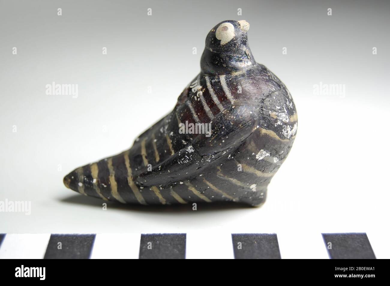 Conical Beak High Resolution Stock Photography and Images - Alamy