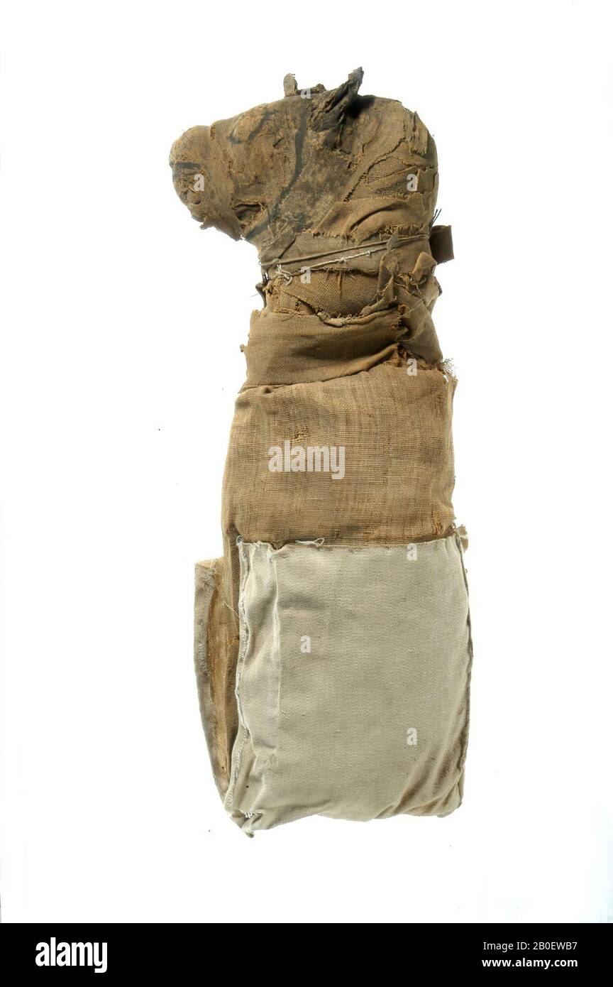 dog, The animal's body has been wrapped in a rectangular sheet or ...