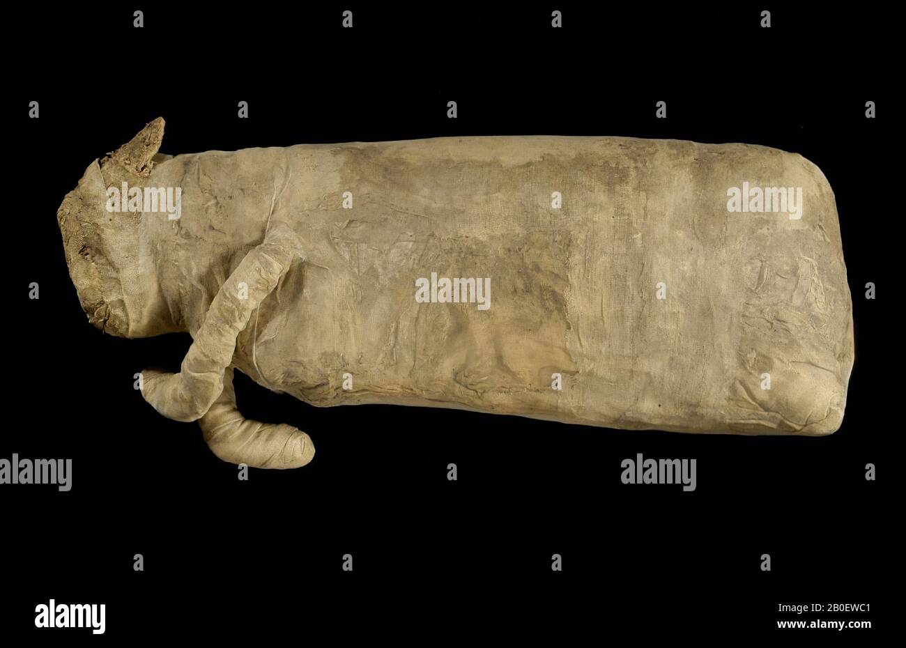 Flattened body shape hi-res stock photography and images - Alamy