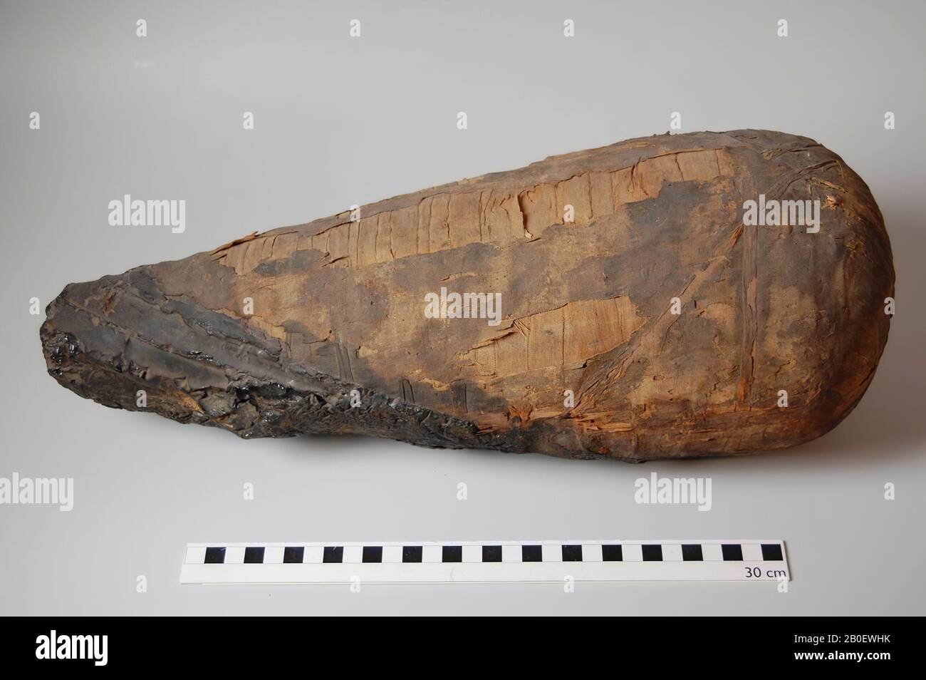 Flattened and rounded shape hi-res stock photography and images - Alamy