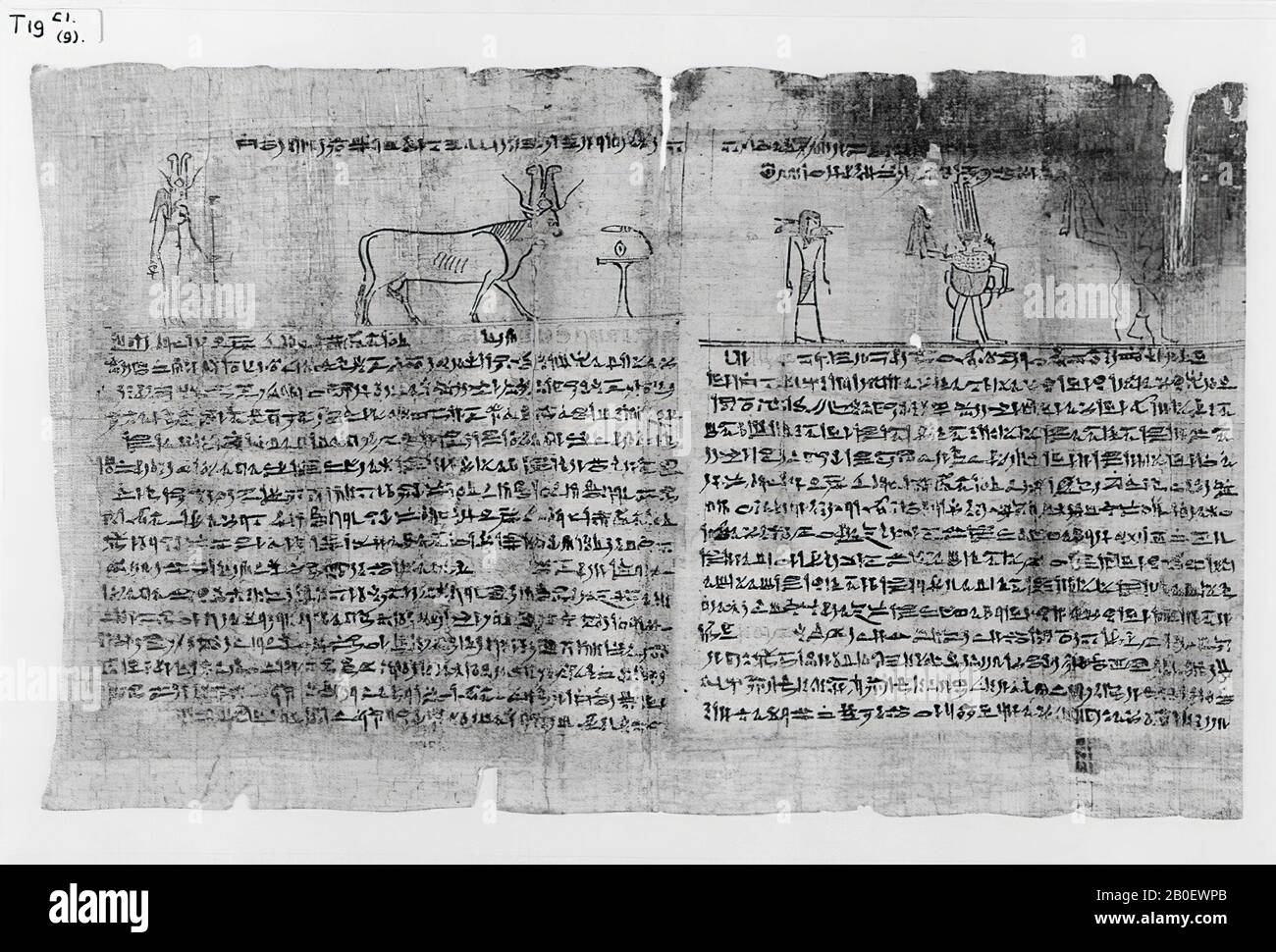 Depth 24 5 cm hi-res stock photography and images - Alamy