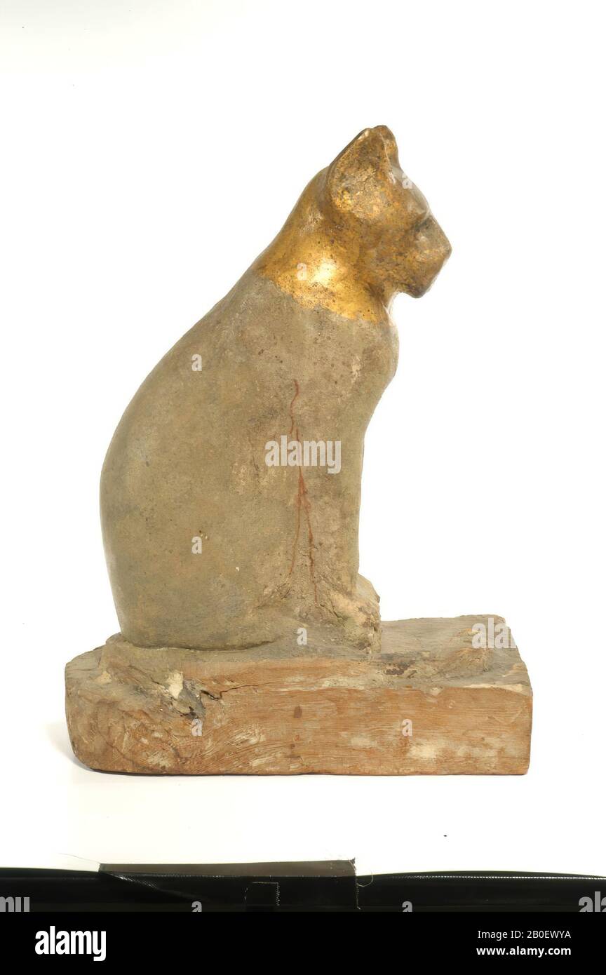 Mummy cat hi-res stock photography and images - Alamy