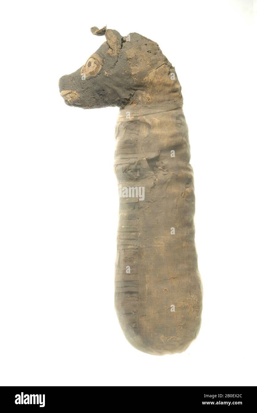 Rectangular Sheet High Resolution Stock Photography and Images - Alamy