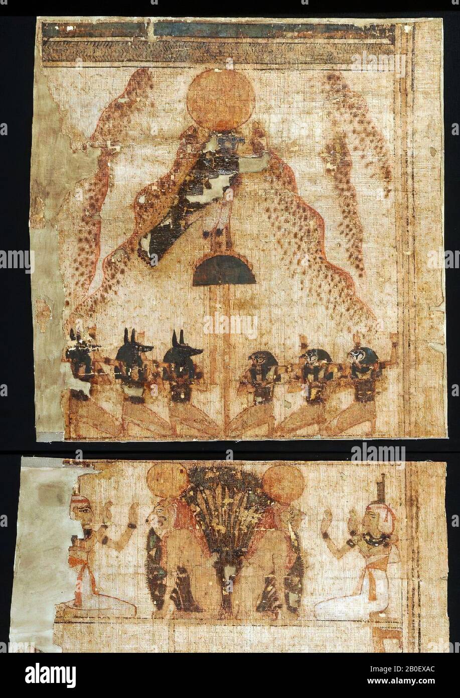 35 x 34 4 cm hi-res stock photography and images - Alamy