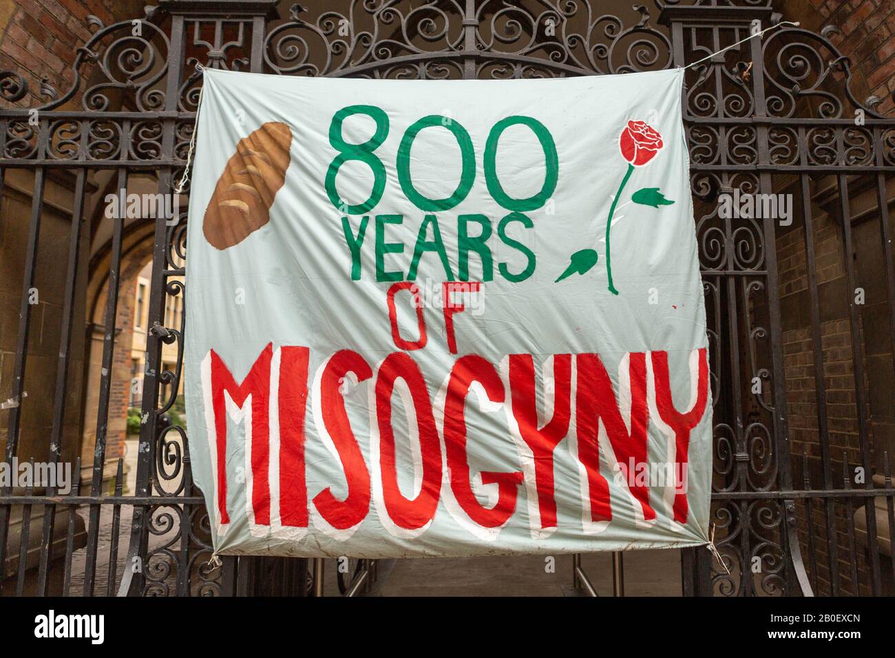 Cambridge haddon library hi-res stock photography and images - Alamy