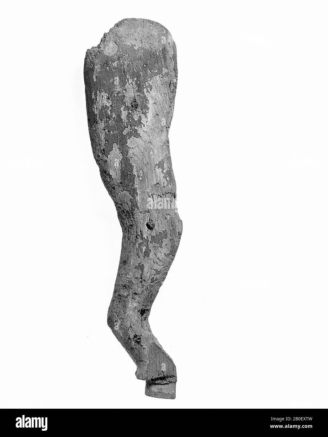 cow shank, small statue, fragment, wood, 6.3 x 25.5 cm, Middle Kingdom ...