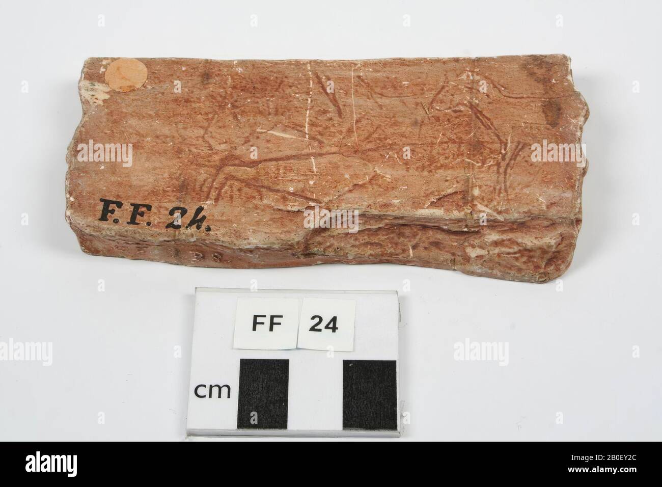 Plaster cast of a piece of processed bone with the drawing of an animal ...