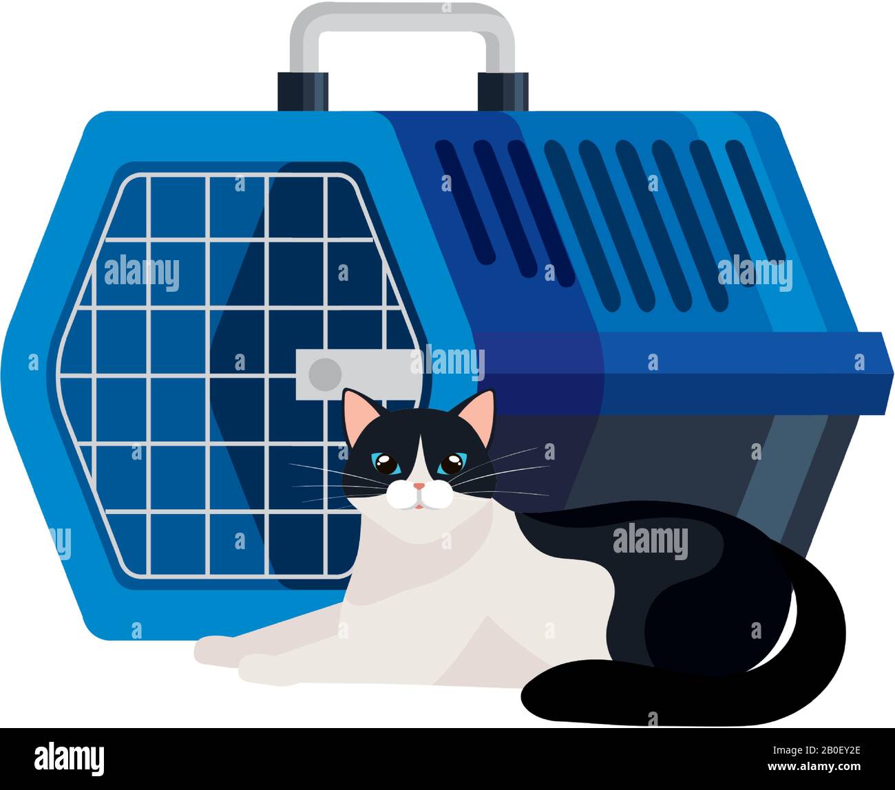 Cat cub carry hi-res stock photography and images - Alamy