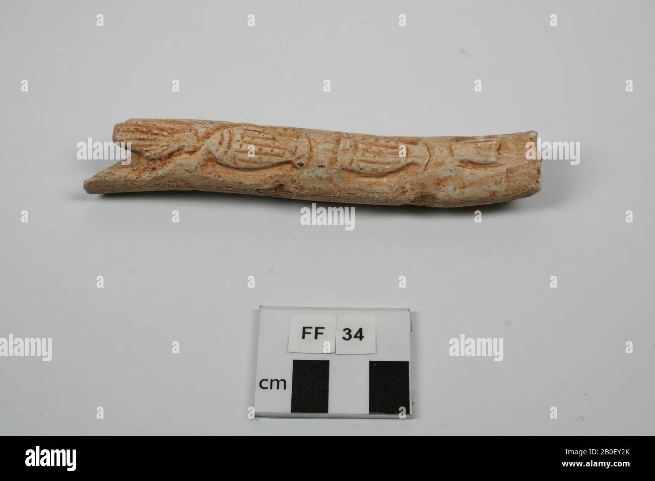 Plaster cast of a carved piece of bone with ornamentation, casting ...