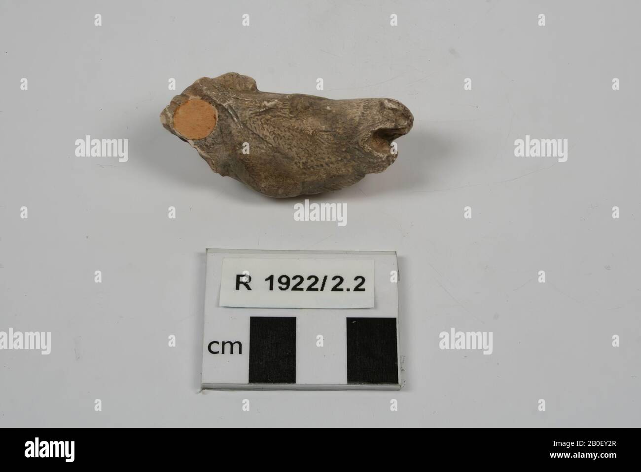 Plaster cast of a piece of bone, modified to horse head., Casting ...