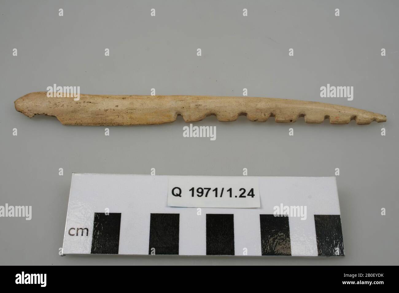 Bone harpoon hi-res stock photography and images - Alamy