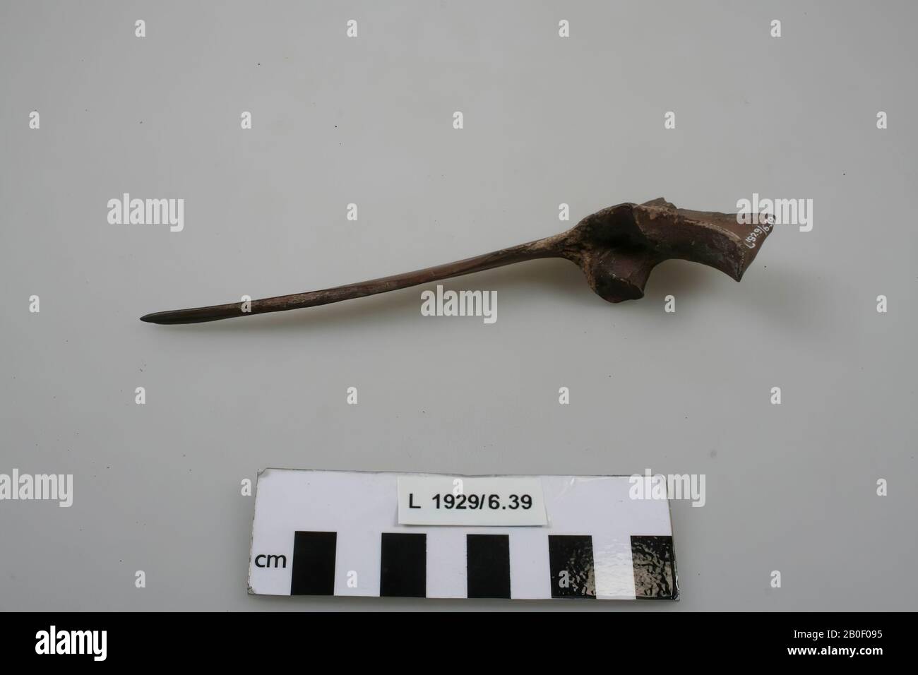 17 x 6 5 x 6 cm hi-res stock photography and images - Alamy