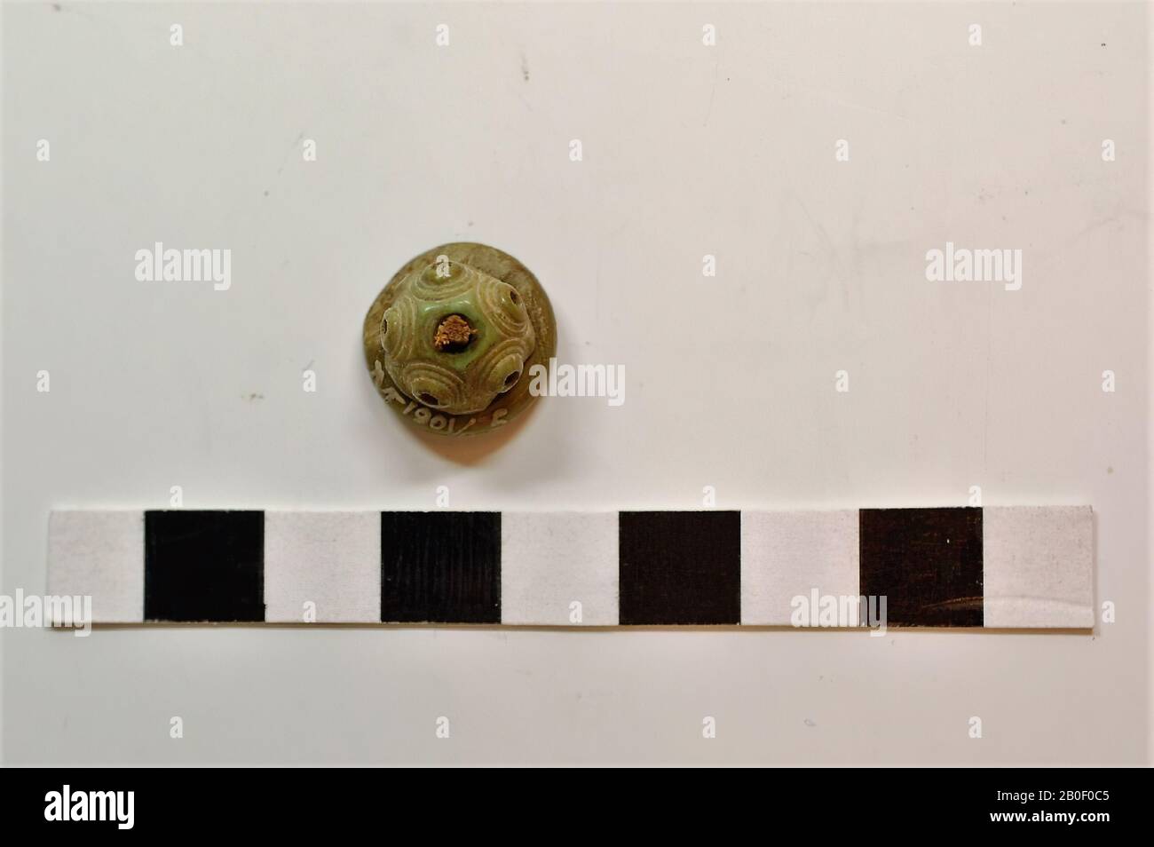 Modified bone hi-res stock photography and images - Alamy