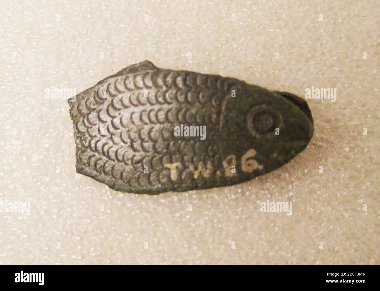 Fibula in the form of a fish. Part of the tail and the needle are ...