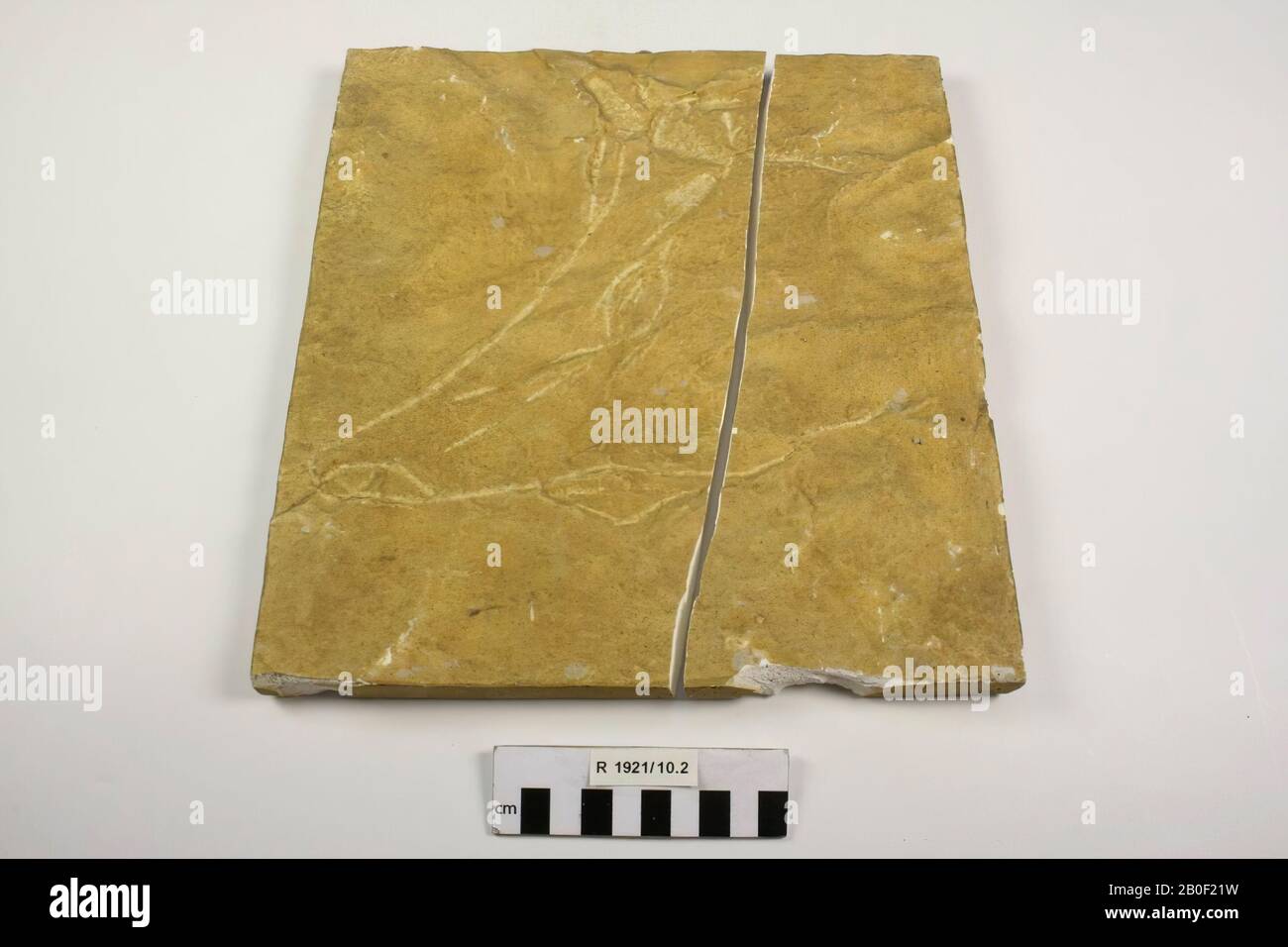 Chip plaster hi-res stock photography and images - Alamy
