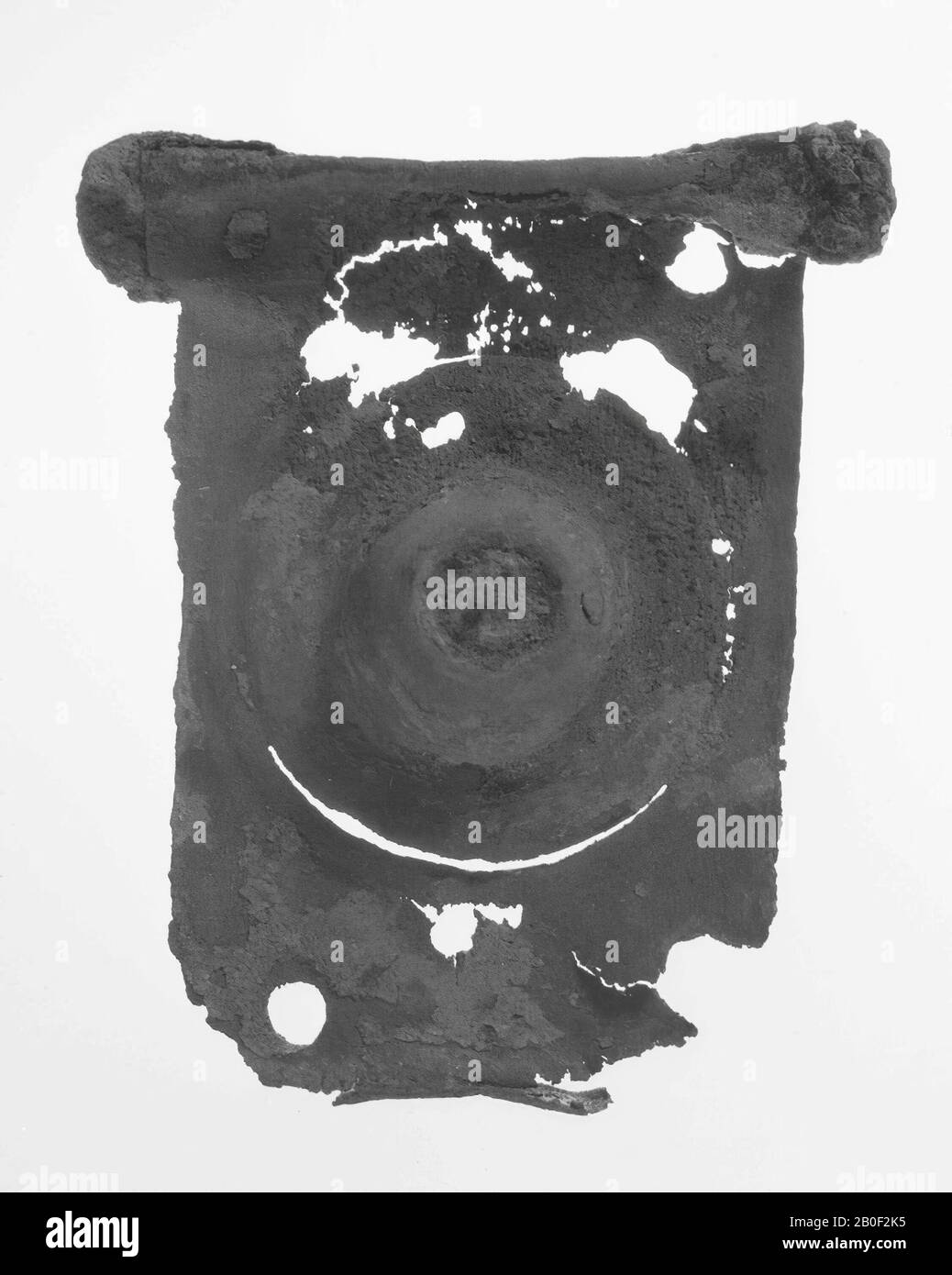 Fragile cingulum plate hi-res stock photography and images - Alamy