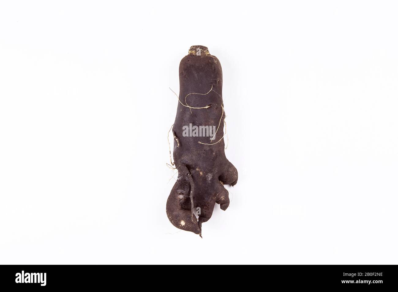 Flat lay black Cut Out Stock Images & Pictures - Alamy