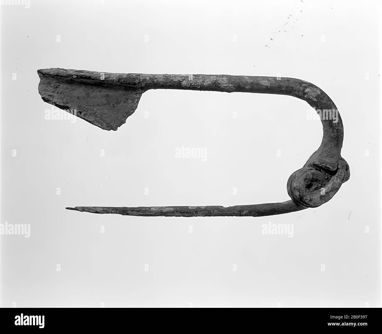 Brace fibula hi-res stock photography and images - Alamy