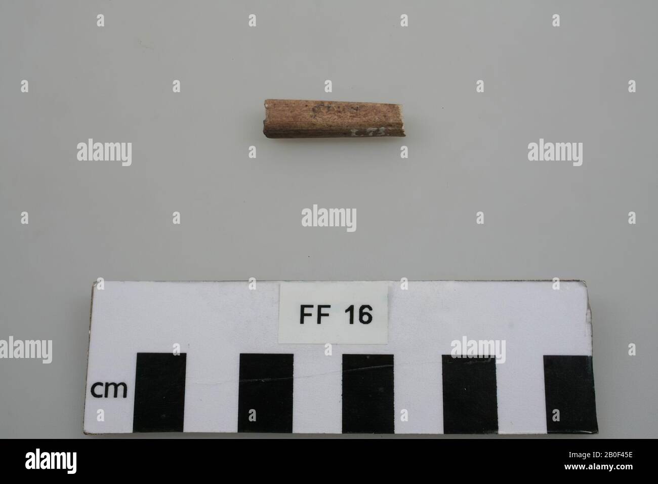 Bone fish hi-res stock photography and images - Alamy