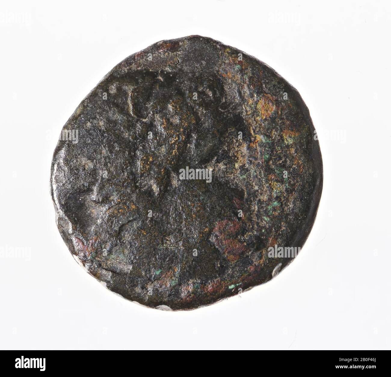 R horse Cut Out Stock Images & Pictures - Alamy