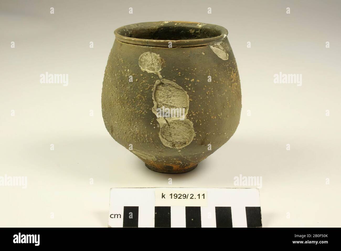 Black painted spiny cup hi-res stock photography and images - Alamy