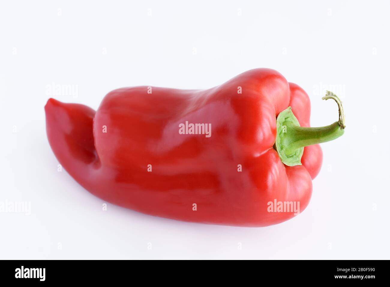 Organically grown ugly red pepper from local farmers market. High ...
