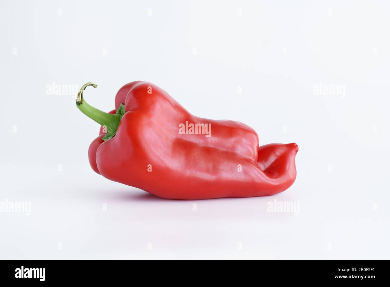 Organically grown ugly red pepper from local farmers market. High ...