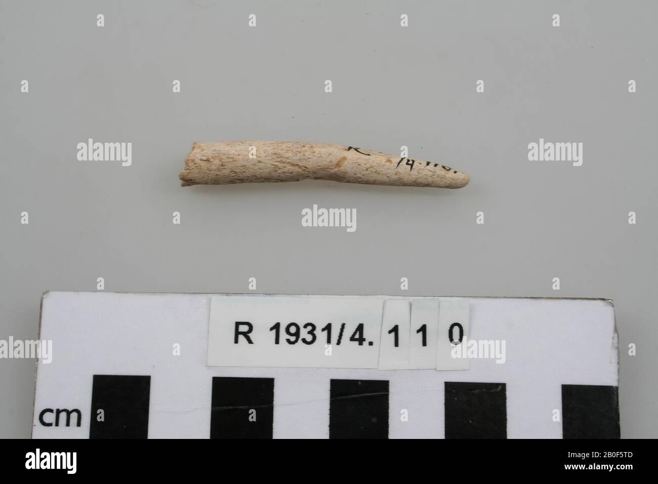 Legs prime hi-res stock photography and images - Alamy