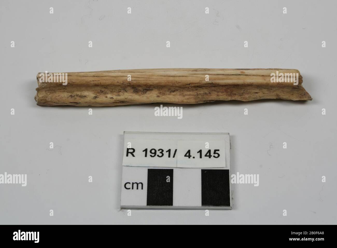 Bone fragment hi-res stock photography and images - Alamy