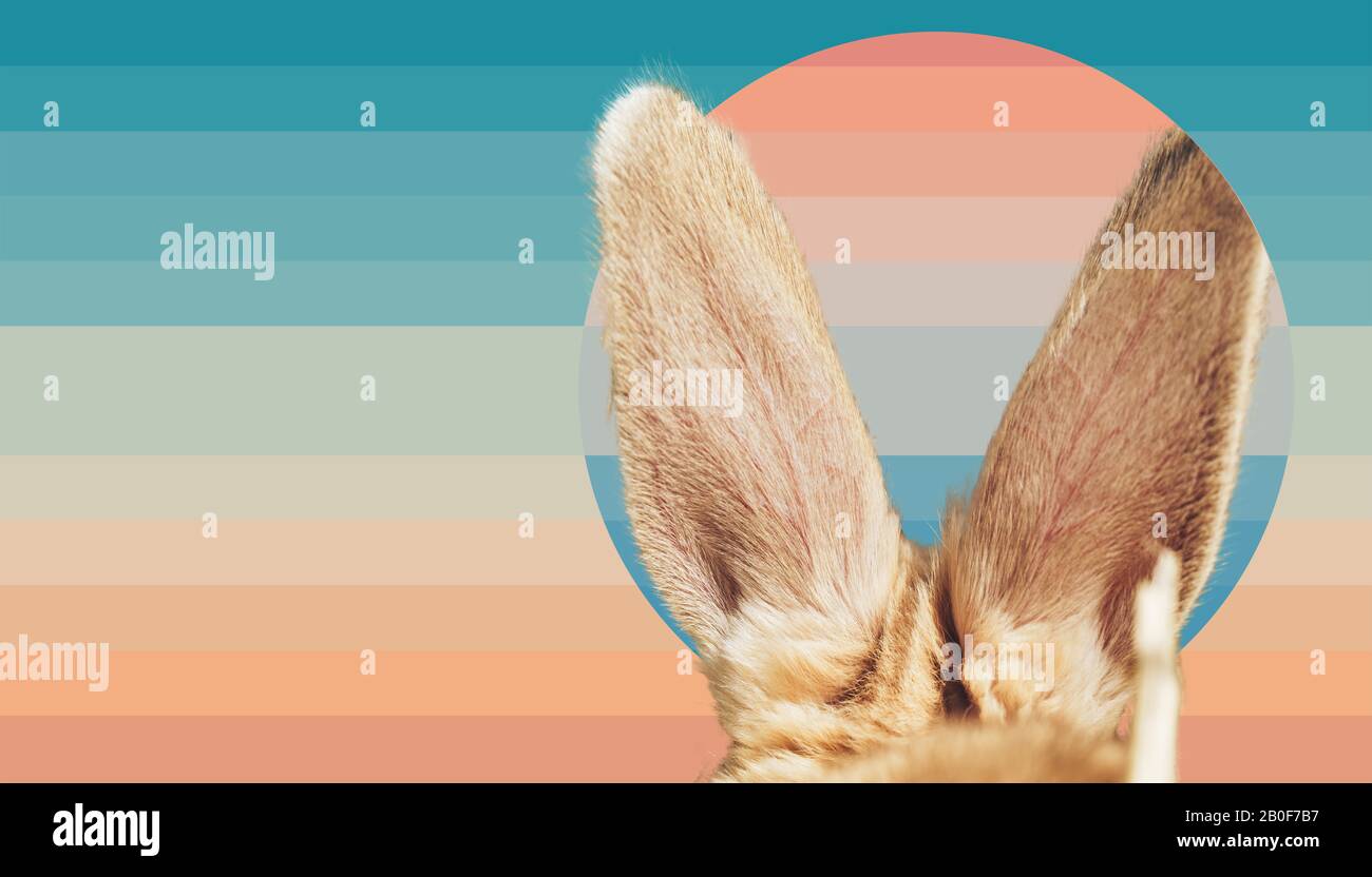 Beautiful abstract surreal Rabbit ears Geometric collage concept ...