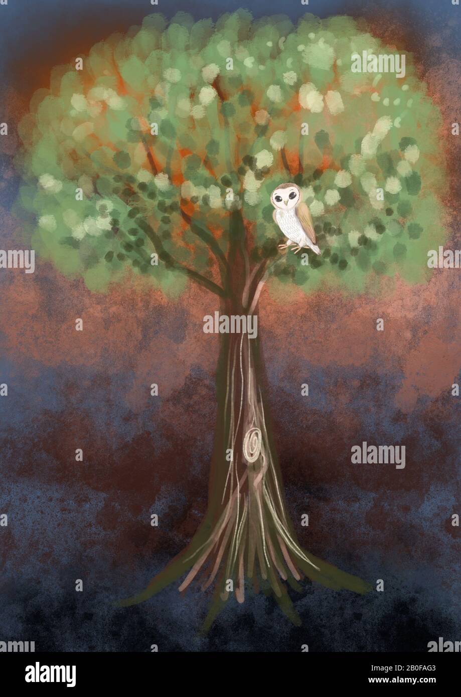 Hand drawn tree illustration Stock Photo - Alamy