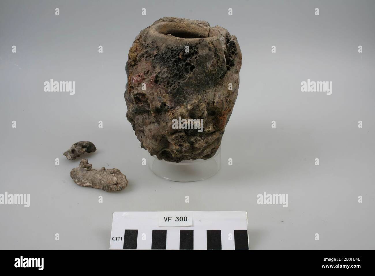 Melting pot of baked earth, surrounded with snails. 2 separate ...