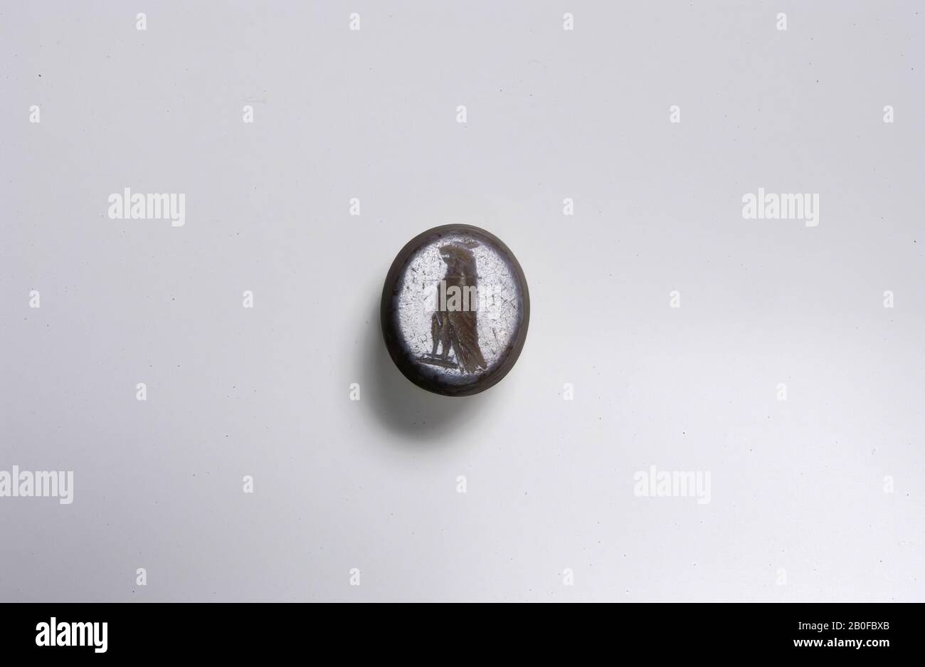 Maaskant evt hi-res stock photography and images - Alamy