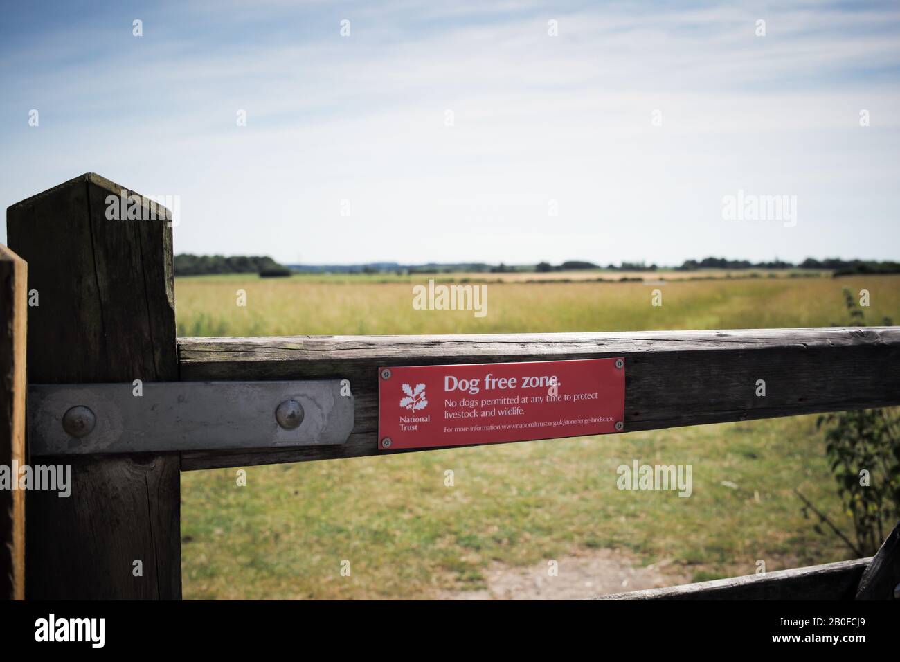 A National trust sign warning of a dog free zone to protect livestock ...