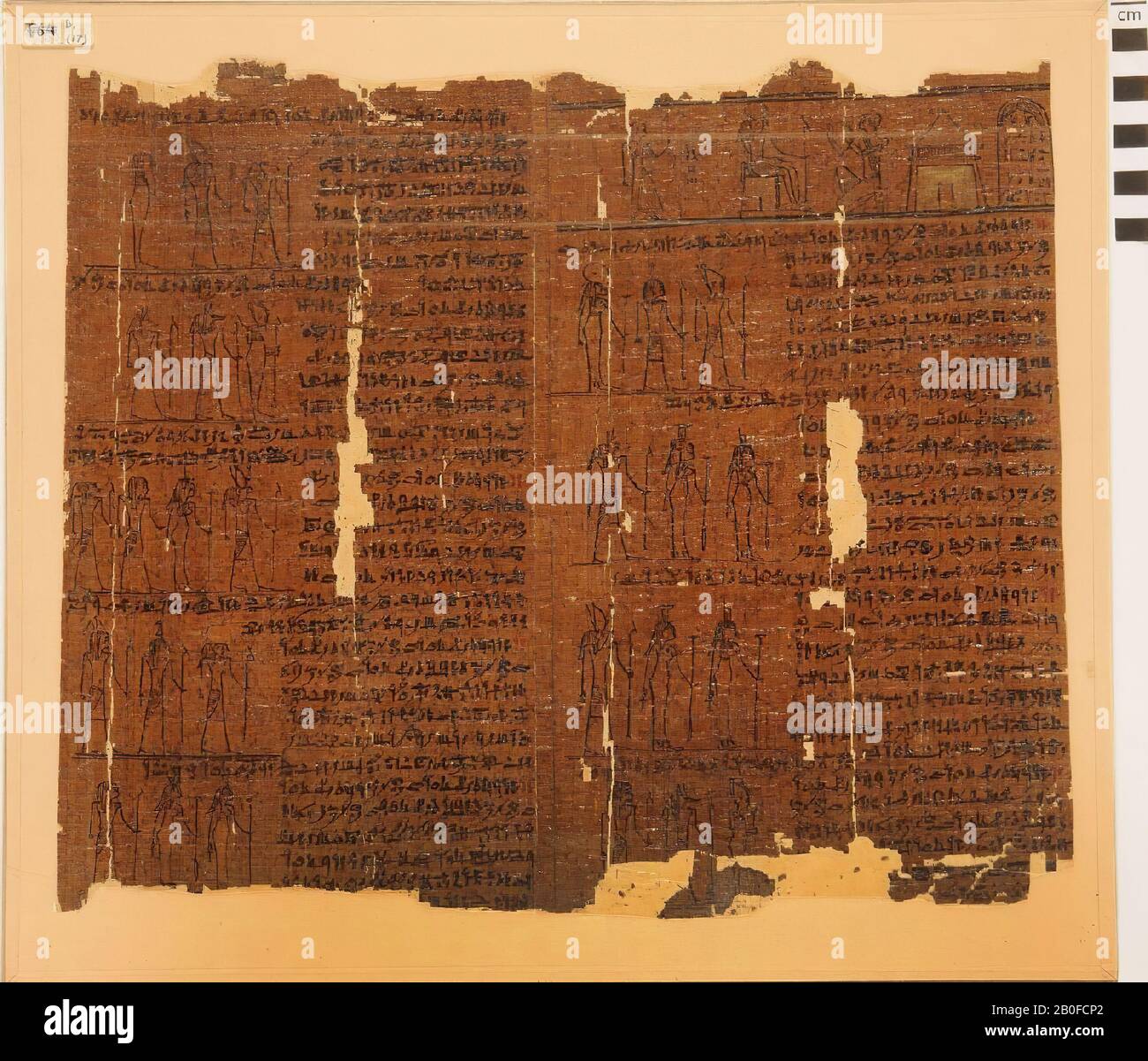 Egypt, handwriting, hieratic, papyrus, 36 x 42 cm Stock Photo - Alamy