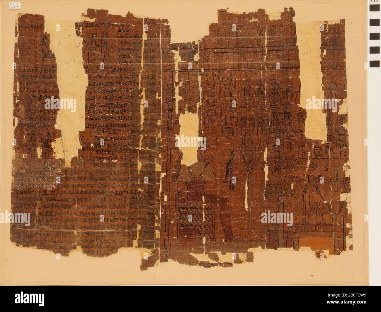Egypt, handwriting, hieratic, papyrus, 38 x 48 cm Stock Photo - Alamy