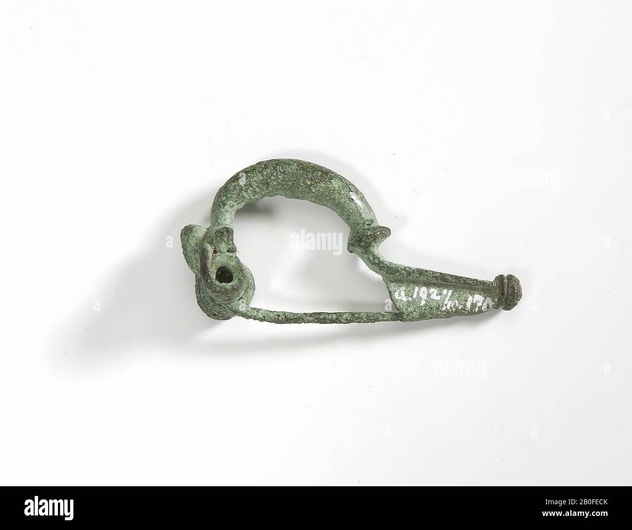 Brace fibula hi-res stock photography and images - Alamy