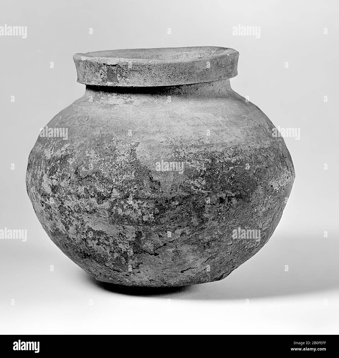 Back slightly flattened hi-res stock photography and images - Alamy