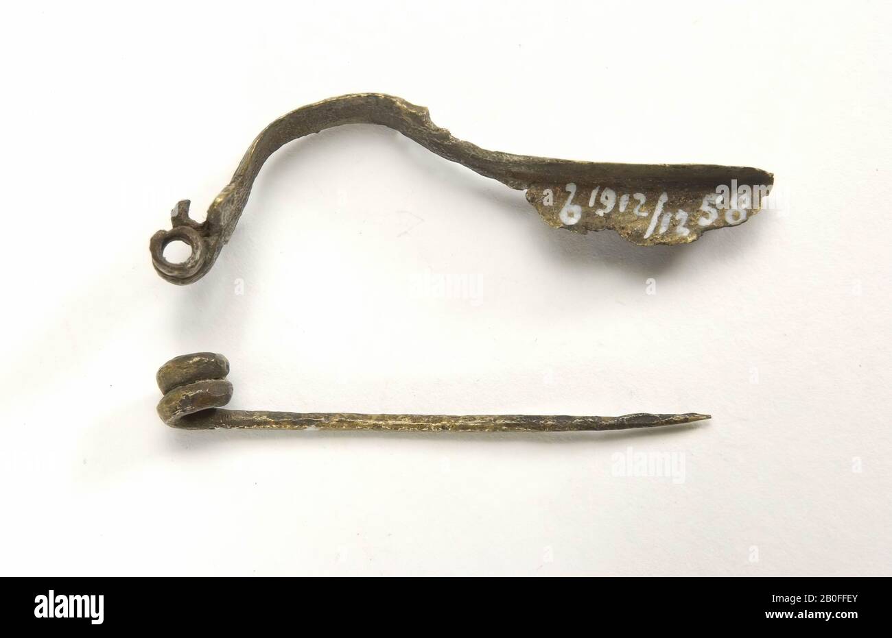 Wire fibula hi-res stock photography and images - Alamy