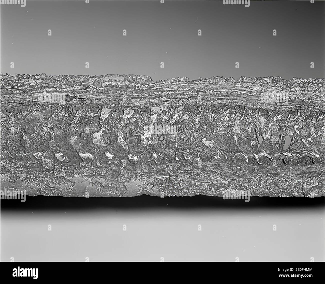 825 5 cm hi-res stock photography and images - Alamy