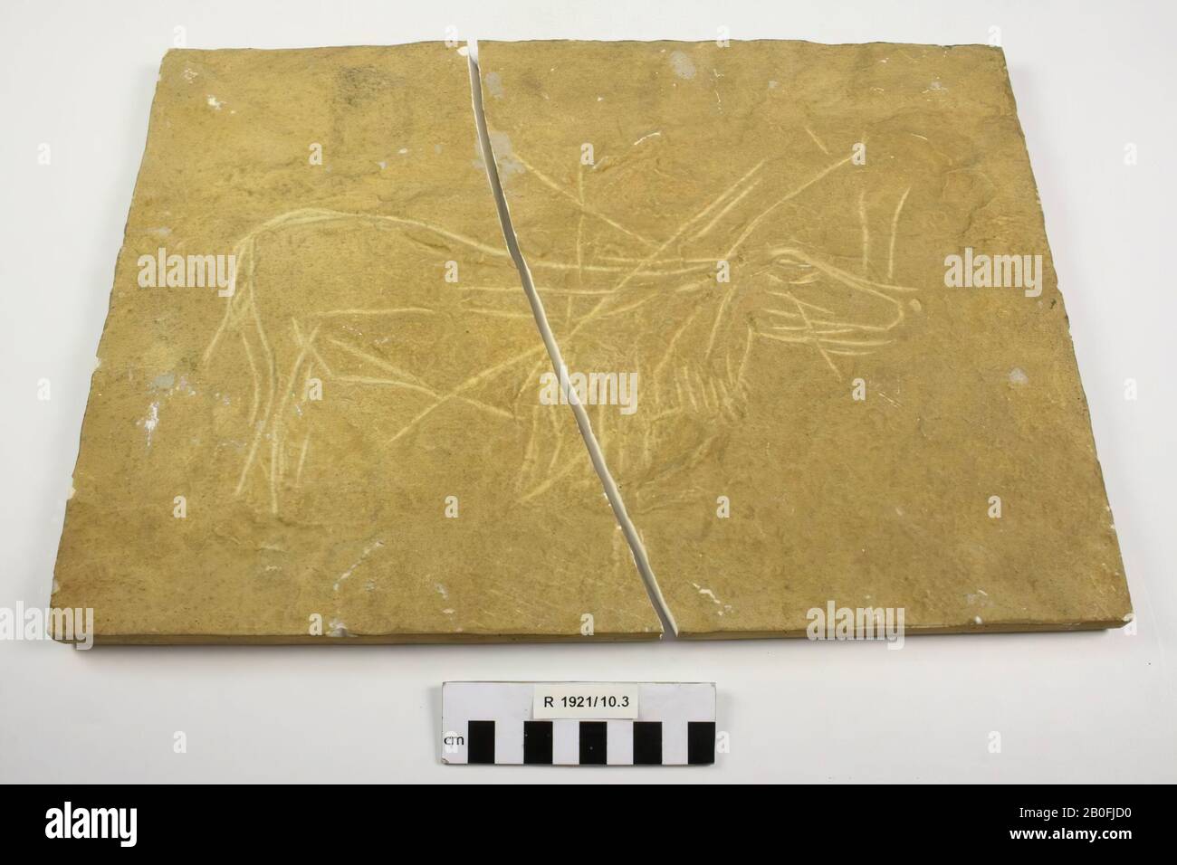 Gips High Resolution Stock Photography and Images - Alamy