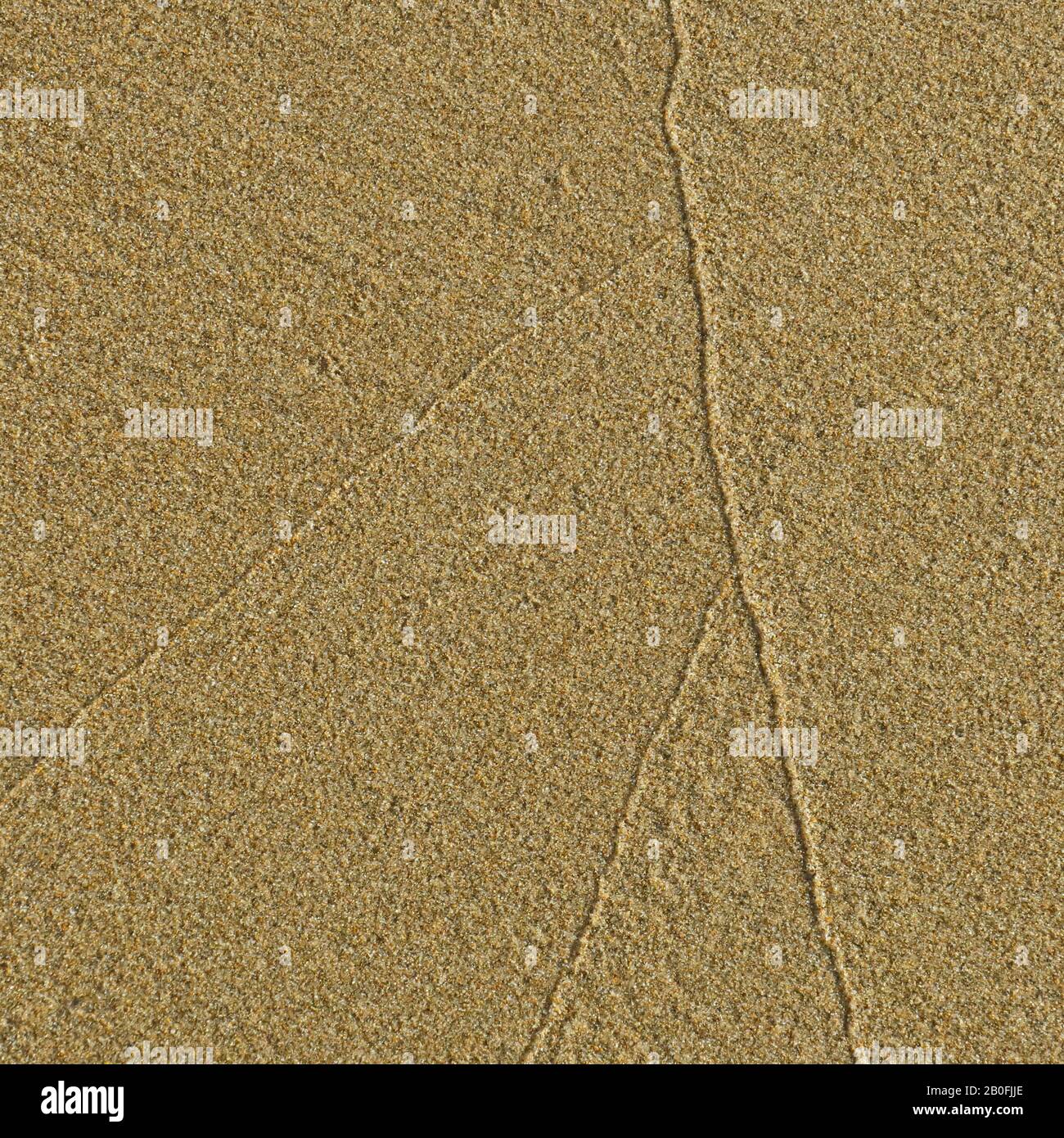 Abstract detailed tidal patterns in the sand at low tide on Penbryn ...