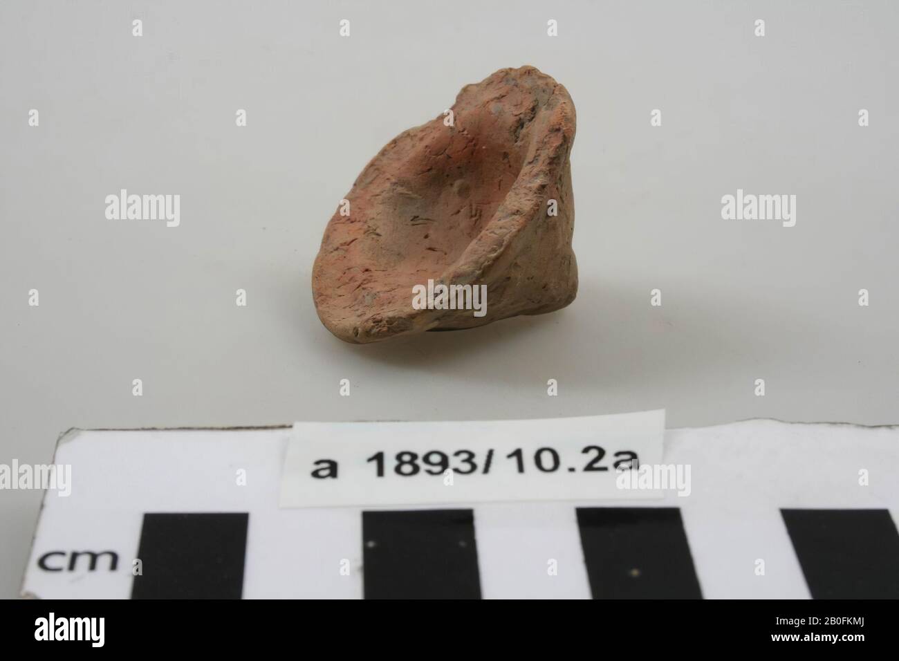 Ovoid formed hi-res stock photography and images - Alamy